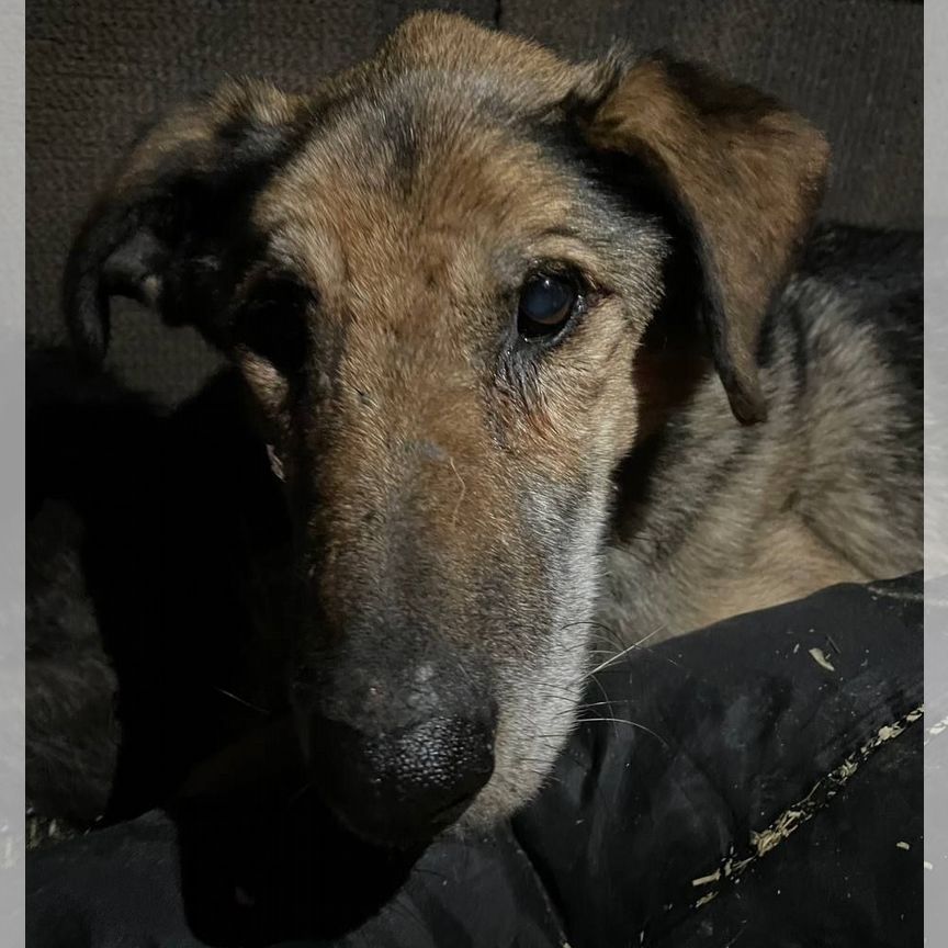 Облегчить остаток жизни