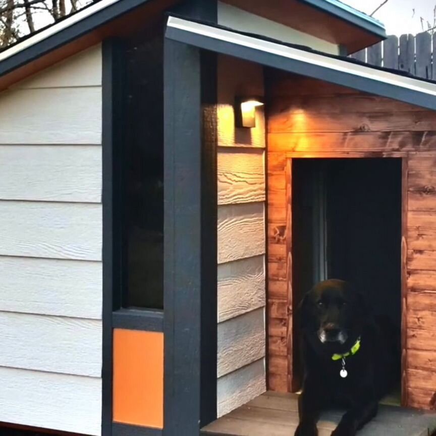 Дом будка для собаки