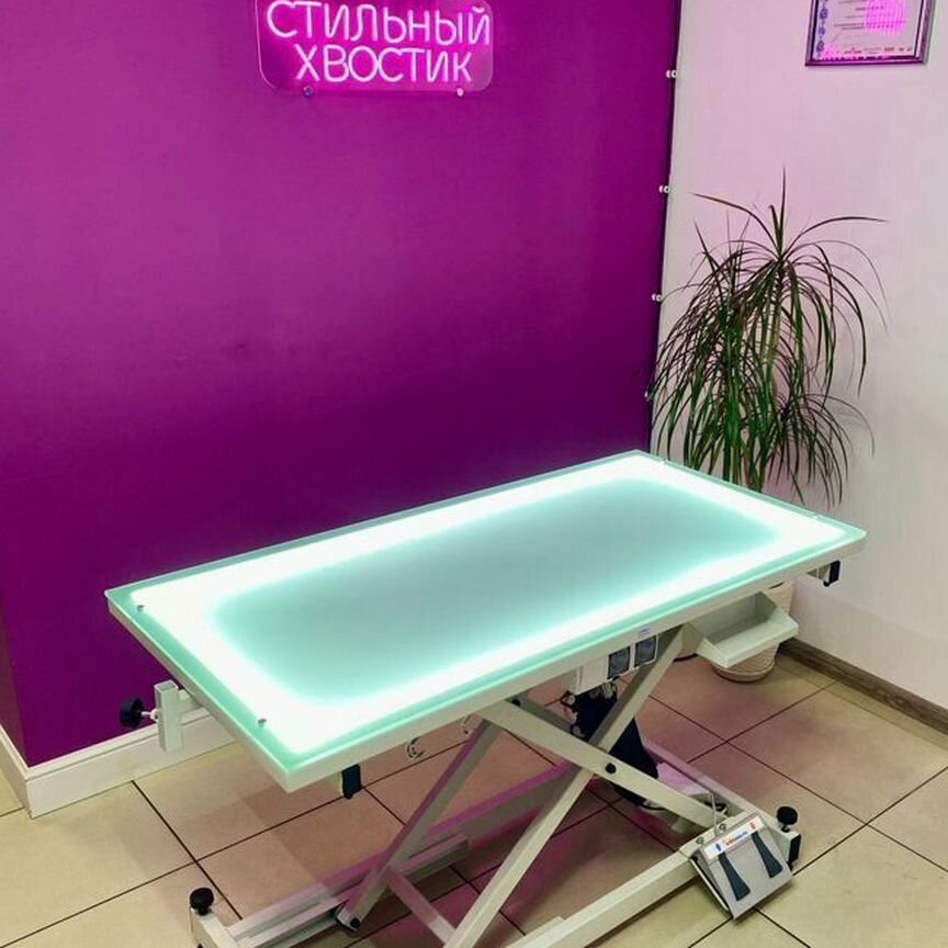 Стол для груминга электрический LED