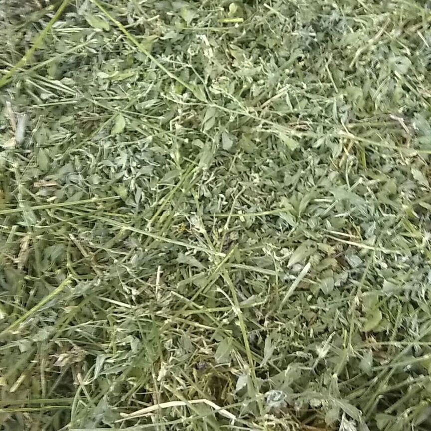 Сено люцерны в пакетах