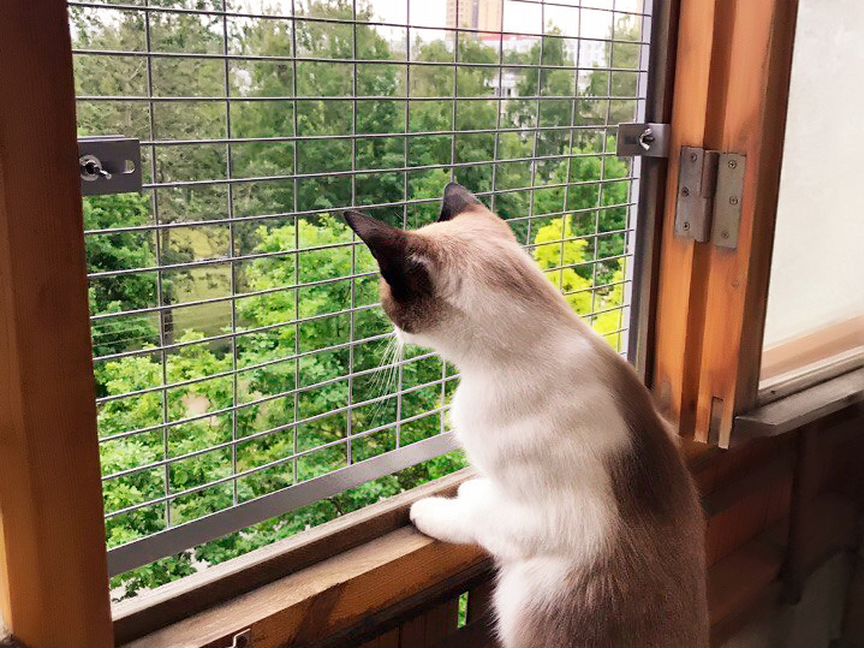 Антикошка съёмная сетка на окно или балкон/лоджию