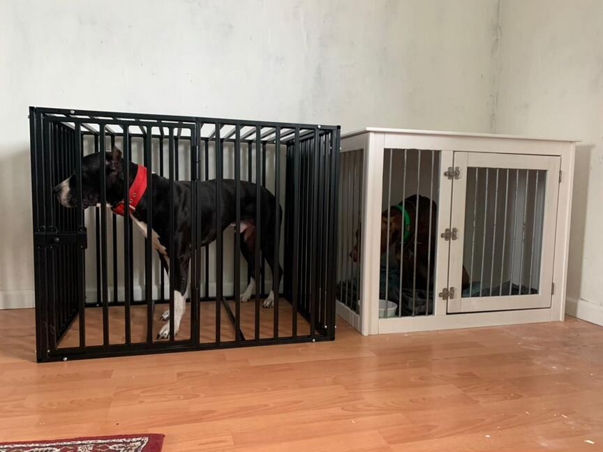 Антивандальная клетка для собак усиленная