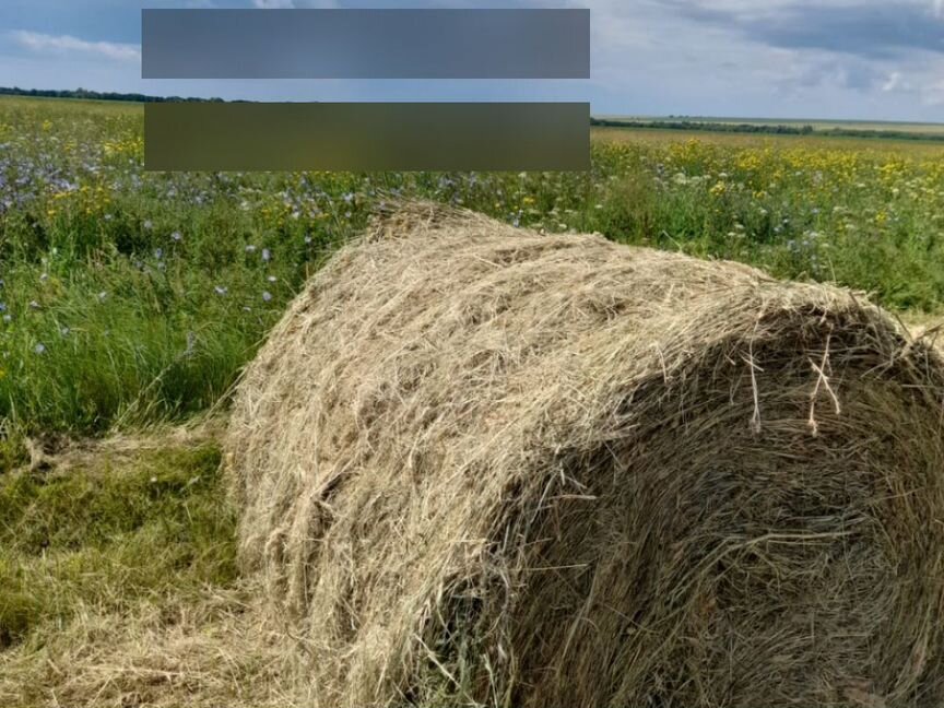 Луговое сено