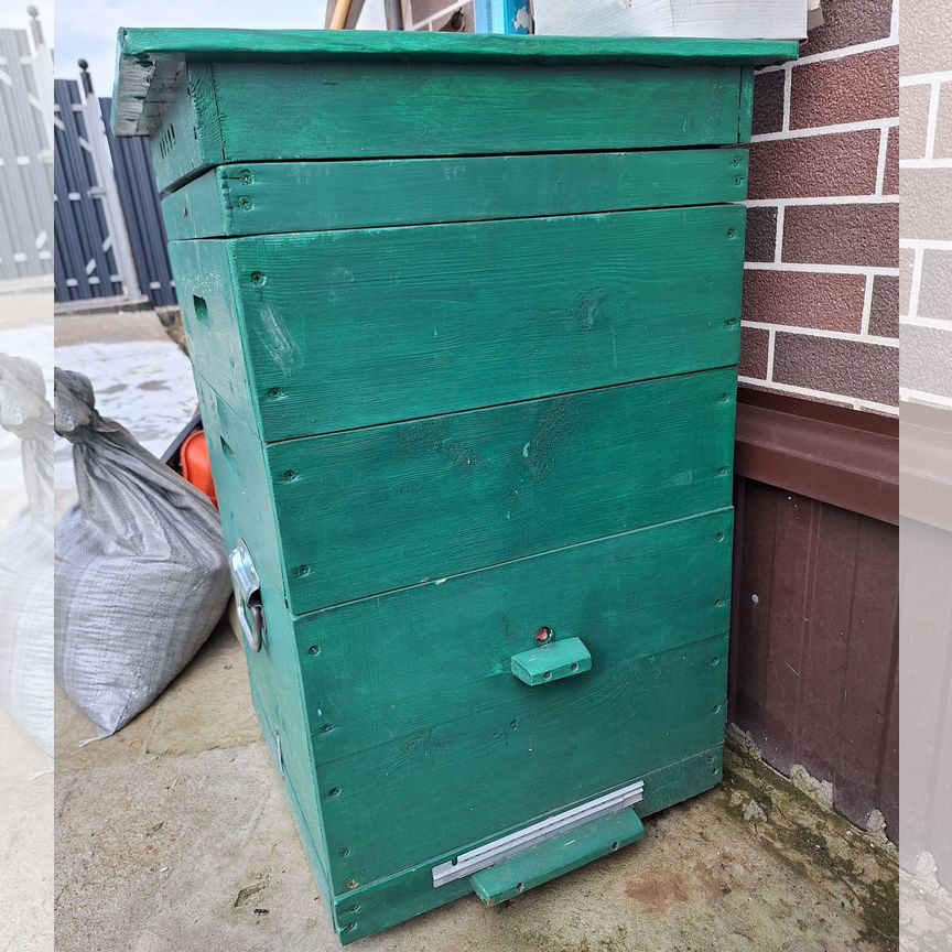 Ульи для пчел