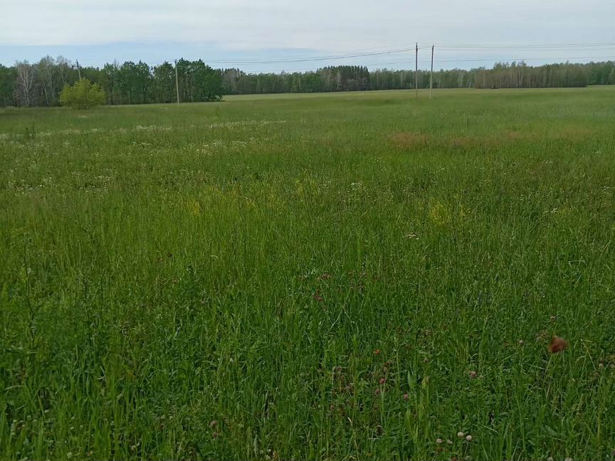 Продам сено и солому в рулонах