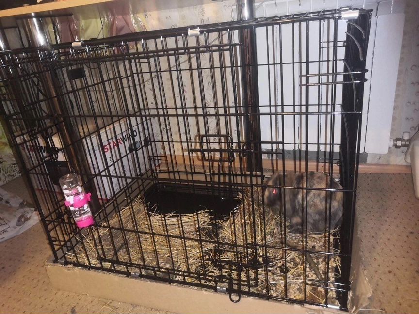 Клетки для кролика