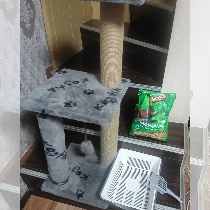 Когтеточка для котят