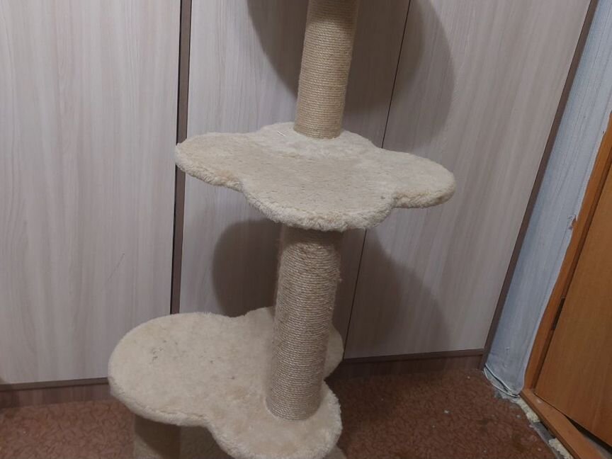 Когтеточка