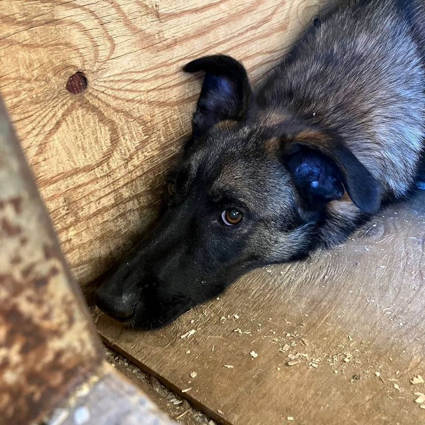 Доброта вернётся каждому