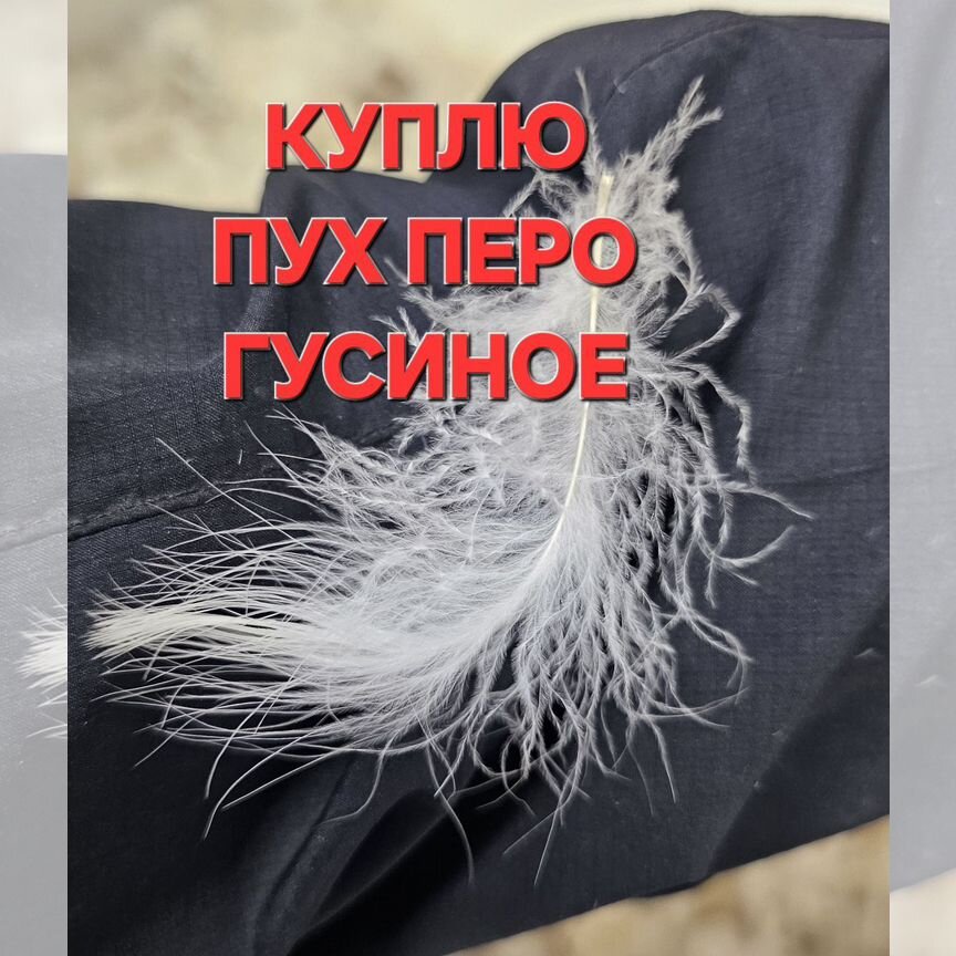 Пух перо гусиное