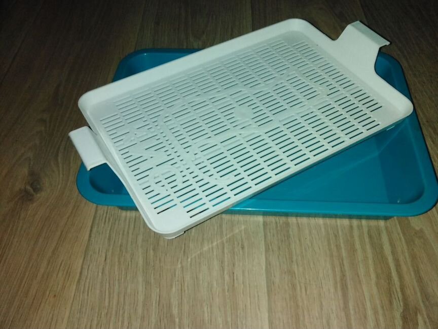 Лоток для котят