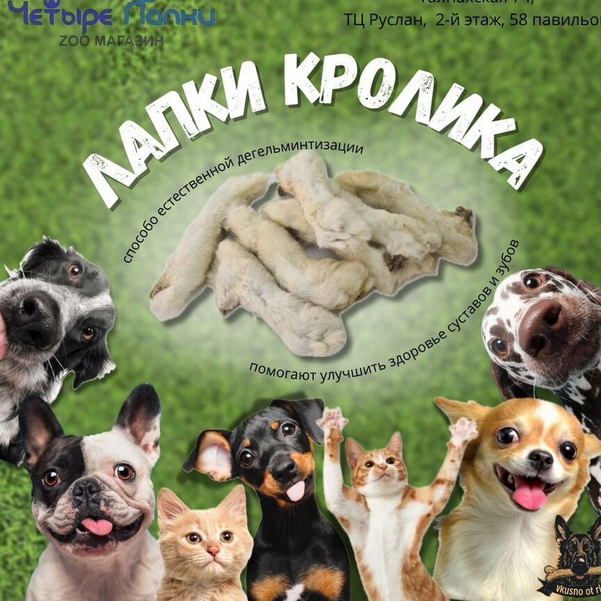 Лакомства для кошек лапка кролика