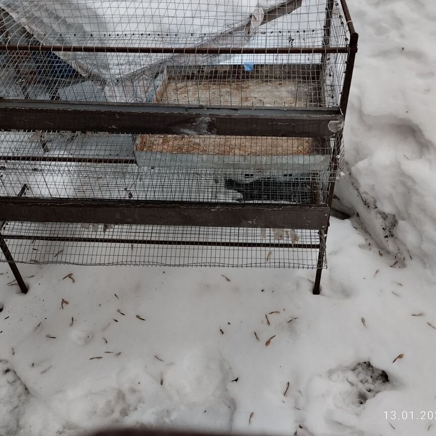 Клетка для перепелок бу