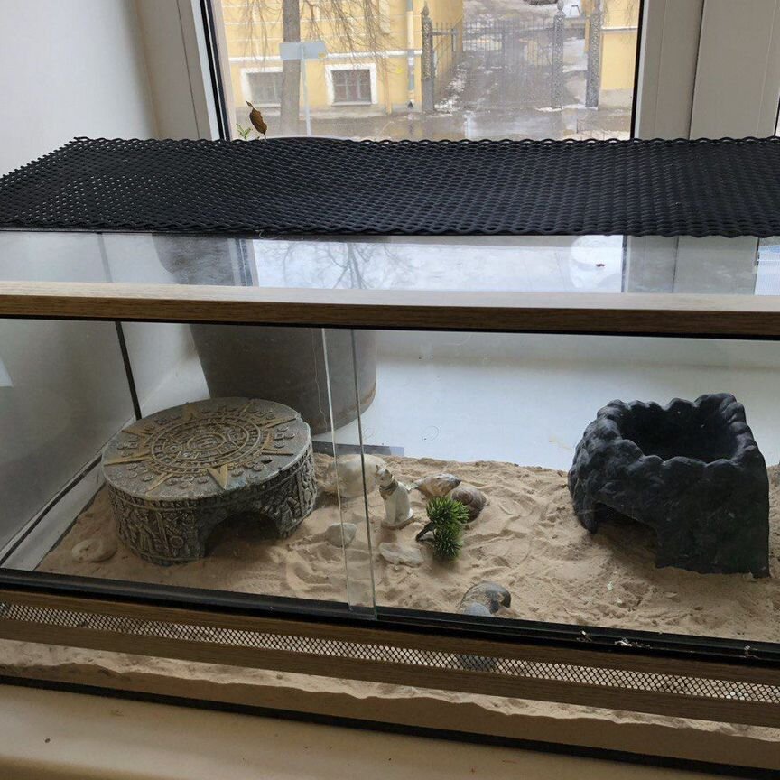 Террариум сухой