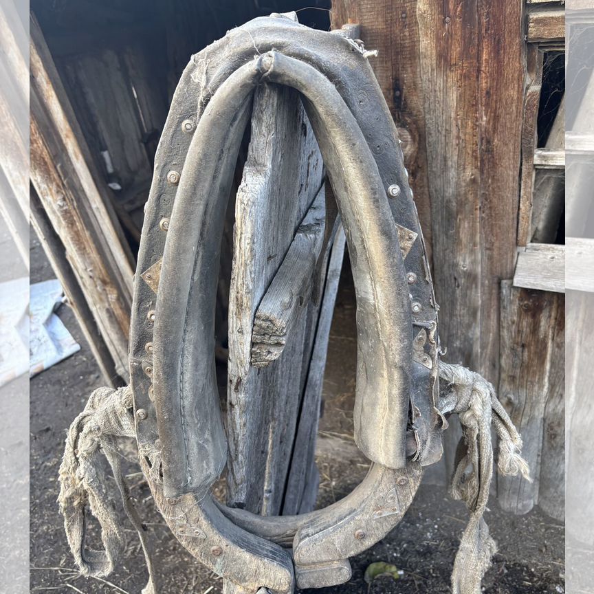 Дуги для упряжи, седло и хомут