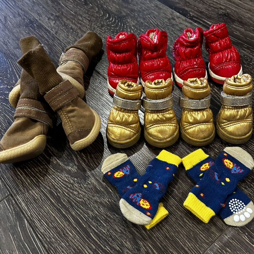 Одежда для собаки (обувь и комбинезоны)