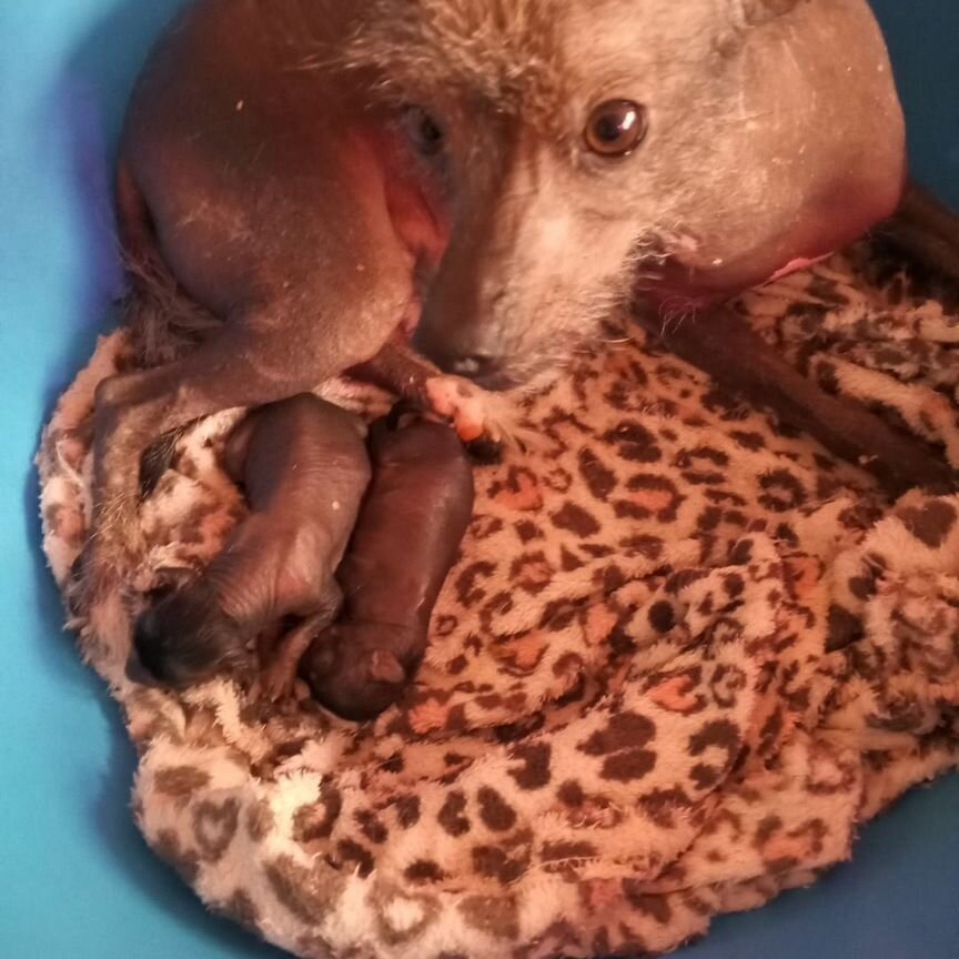 Открыты к резервированию