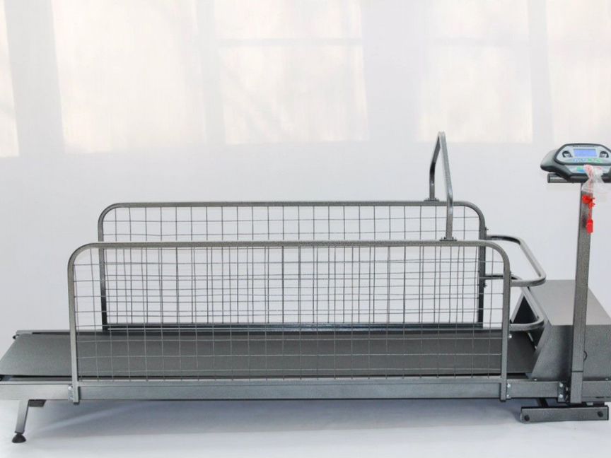 Беговая дорожка для собак от wikiRUN