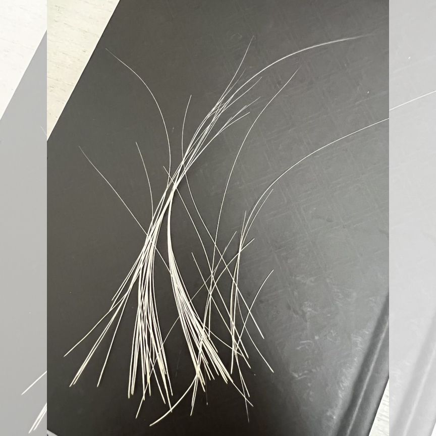 Кошачьи усы