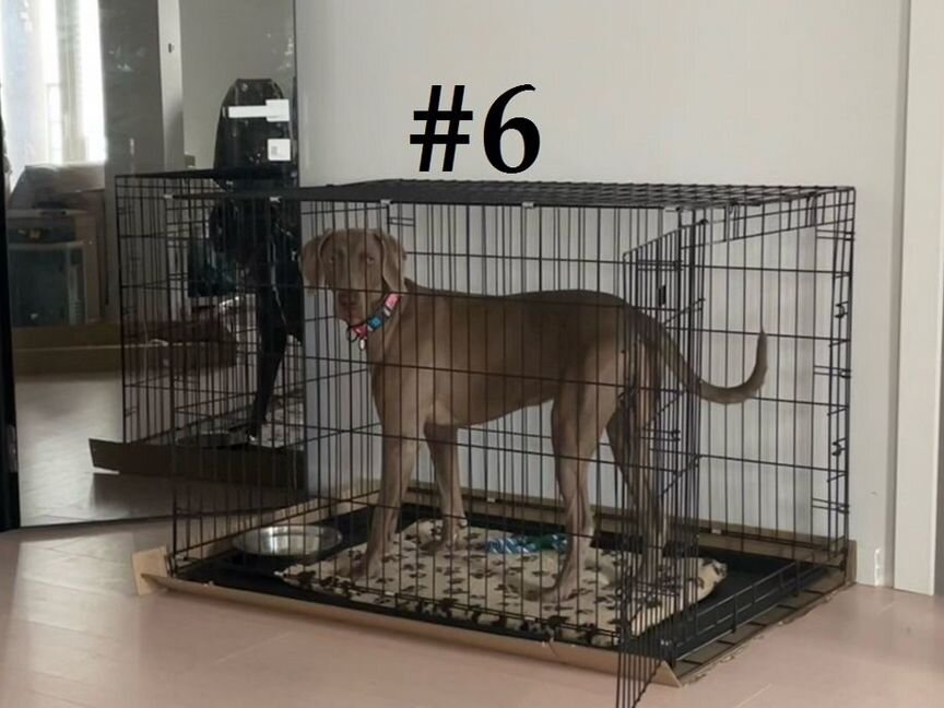 Клетка для собак 6 размер