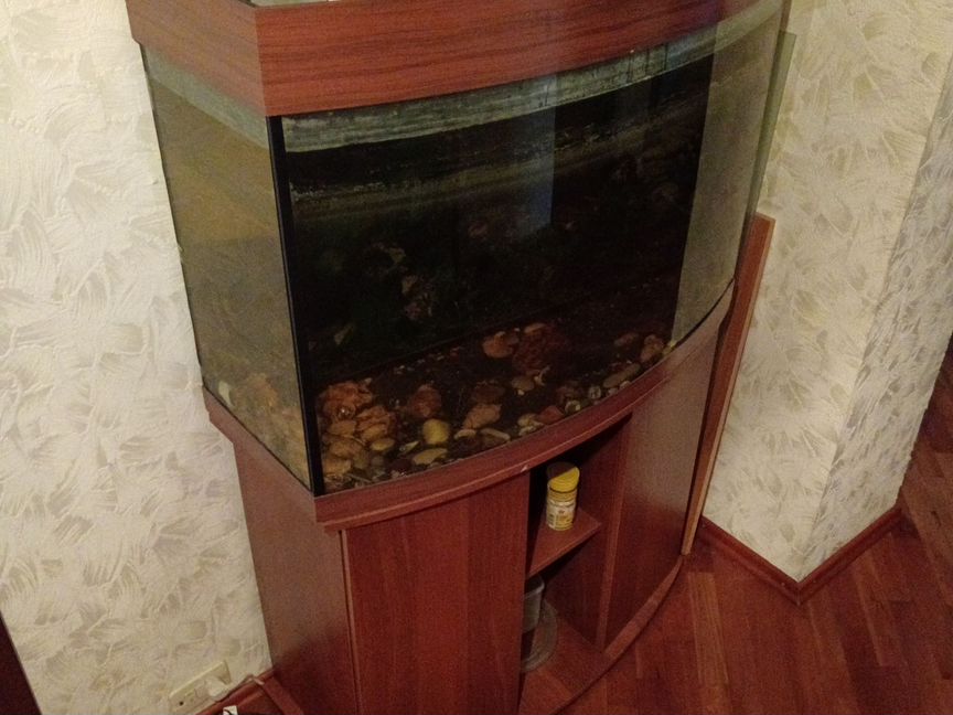 Аквариум с тумбой 200 литров