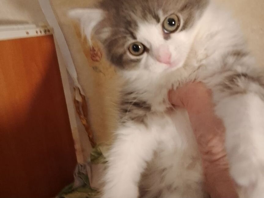 Голубая снежинка