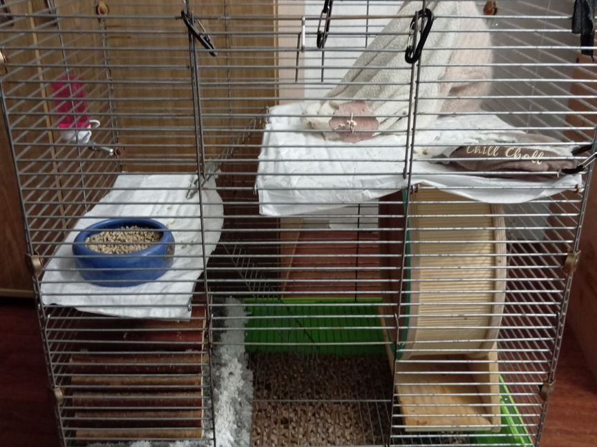 Клетка для крыс