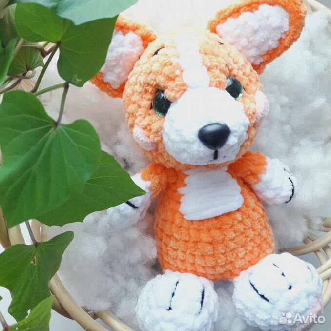 Щенки корги