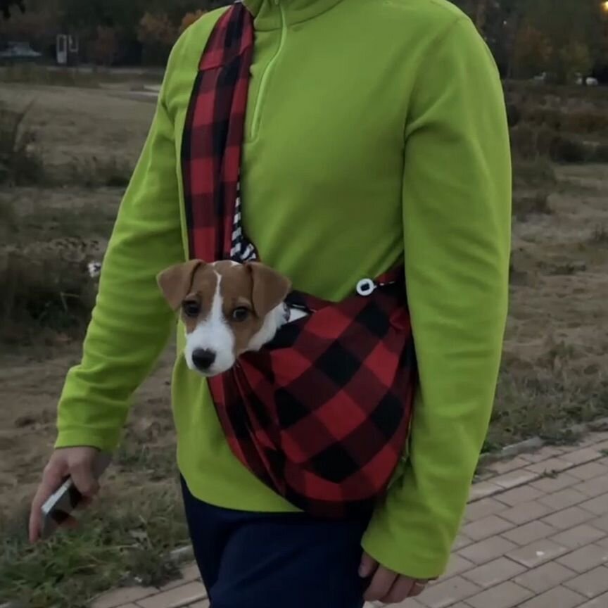 Слинг для собаки