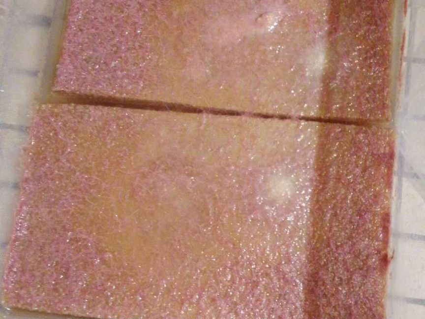 Для рыб Трубочник, Грендаль и нематода, Микрочервь