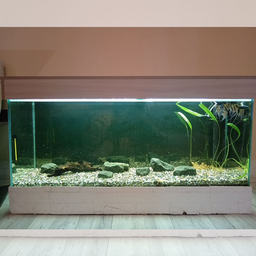 Аквариум 260 л. с рыбками и оснащением