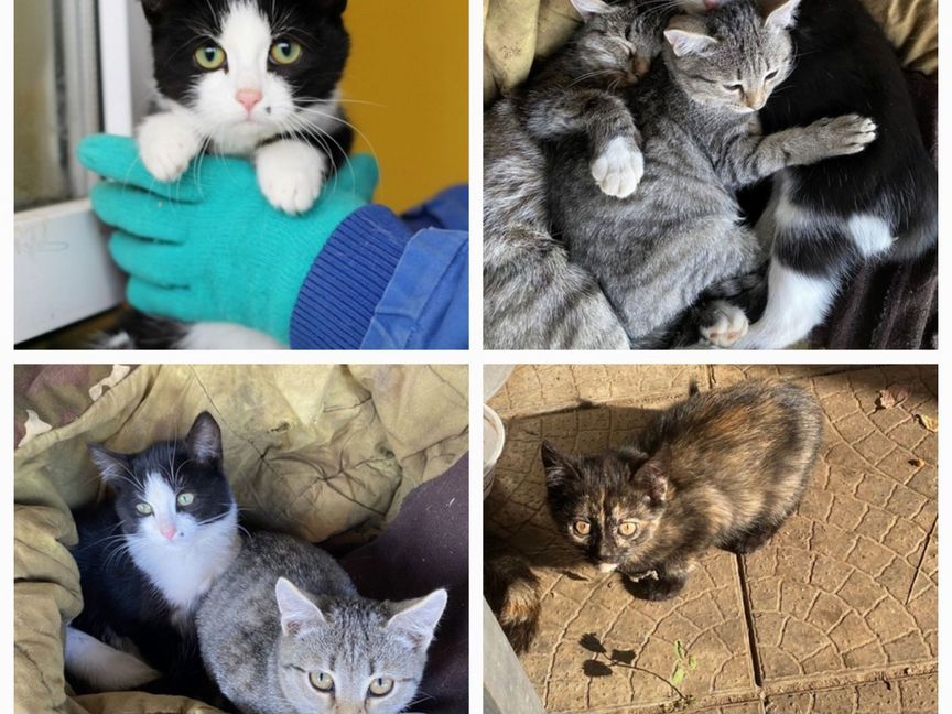 Думайте быстрее