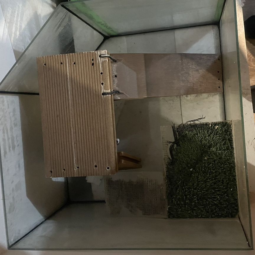 Аквариум для черепах с лесенкой