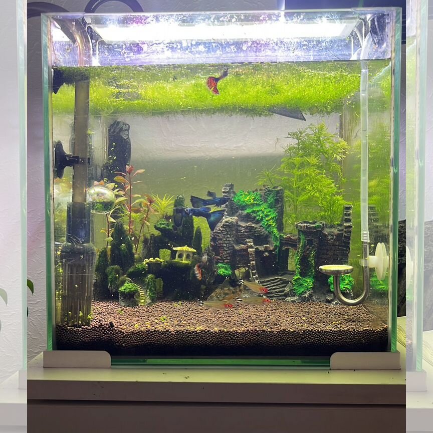 Аквариум 30 литров