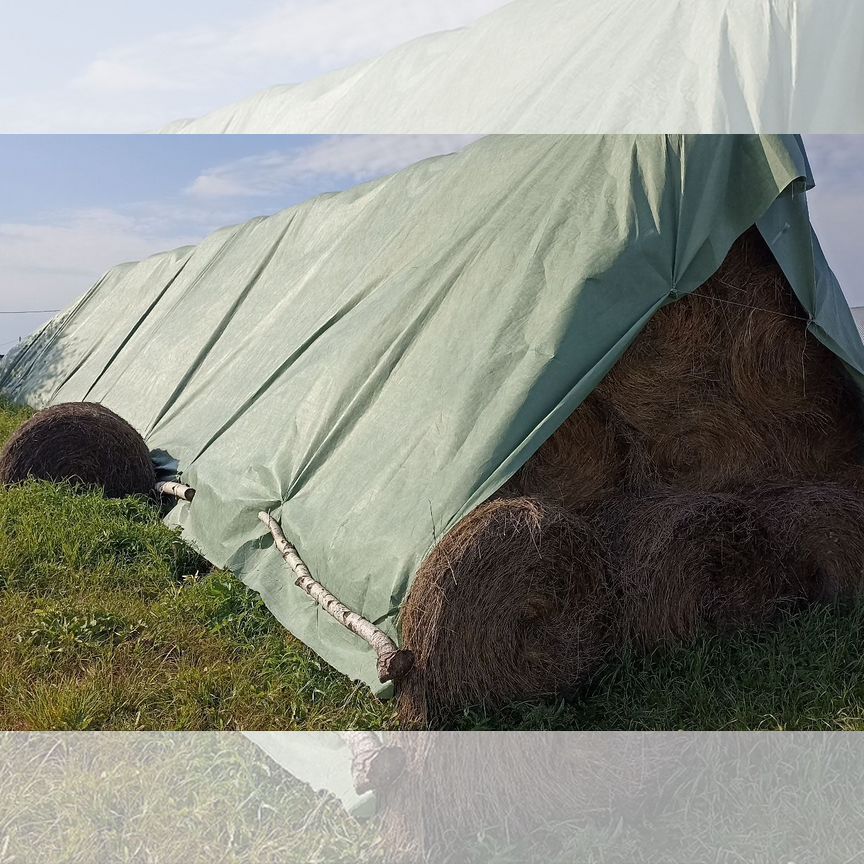 Сено