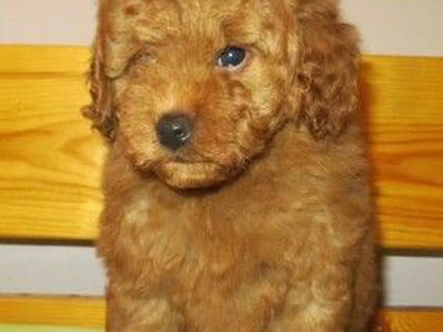 Особенный малыш