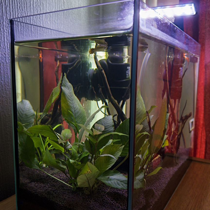 Аквариум (комплект) 15л