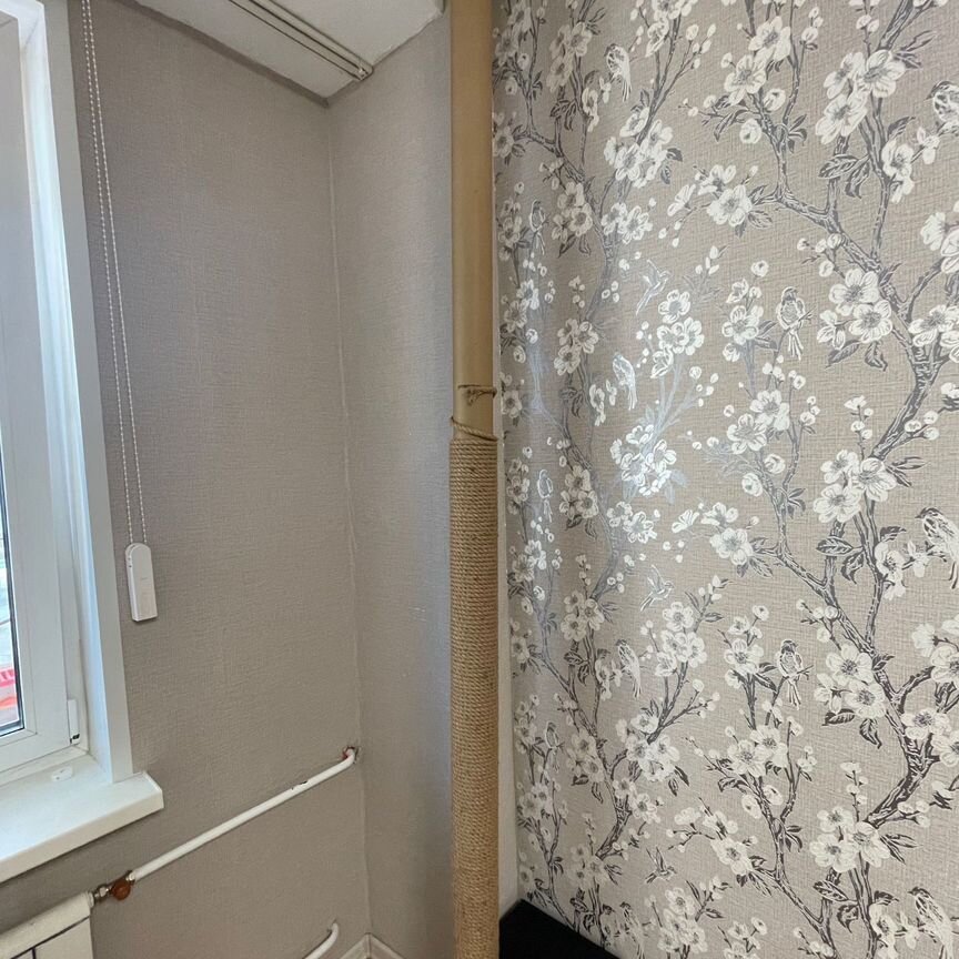 Когтеточка новая