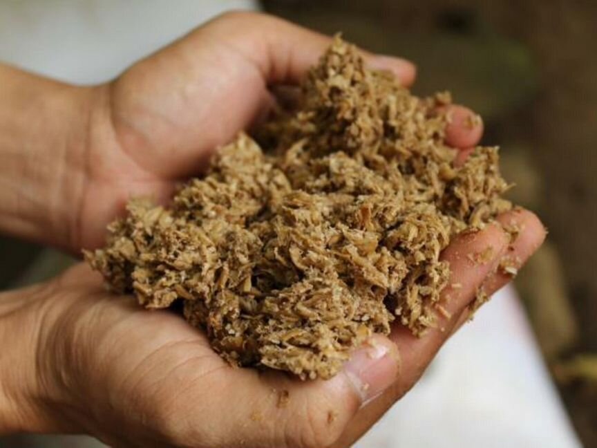 Пивная дробина