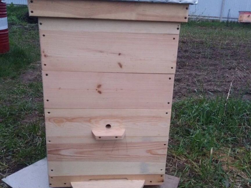 Улей для пчел новые