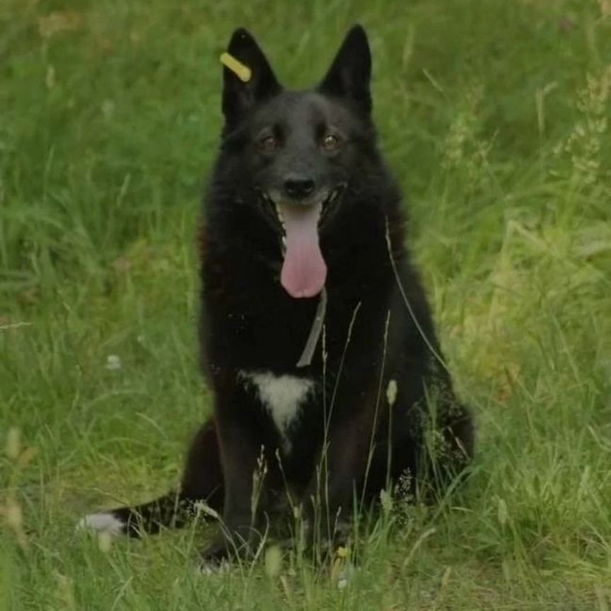 Мальчик с тяжелой судьбой 9 лет