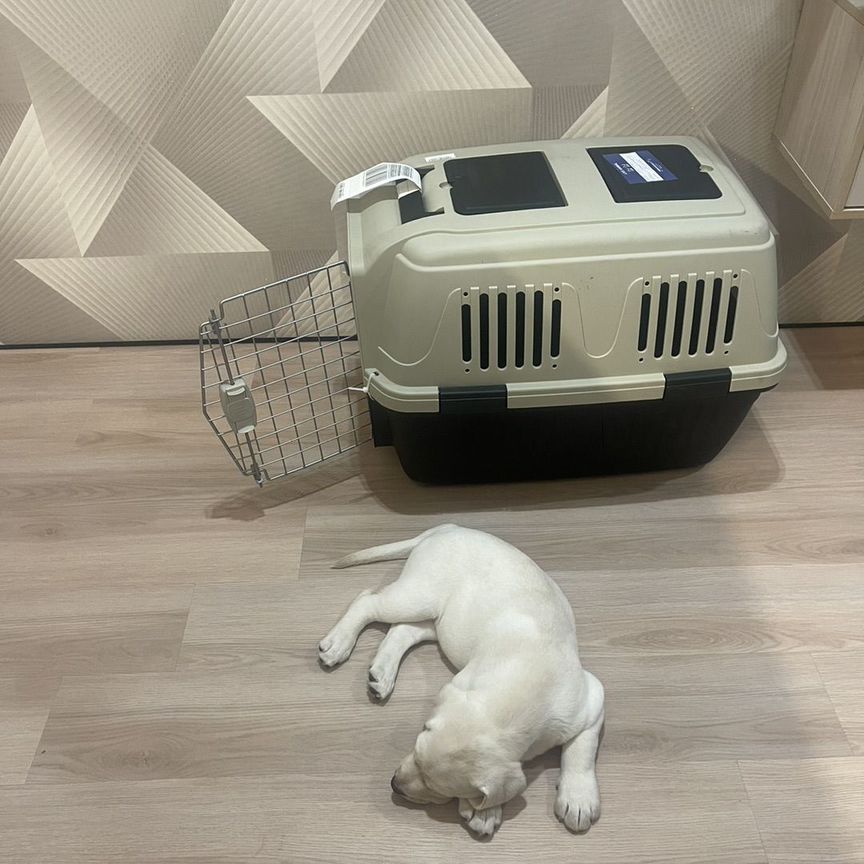 Клетка skudo 4