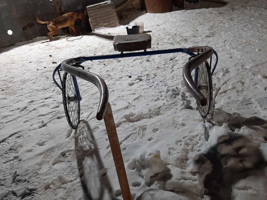 Призовая качалка