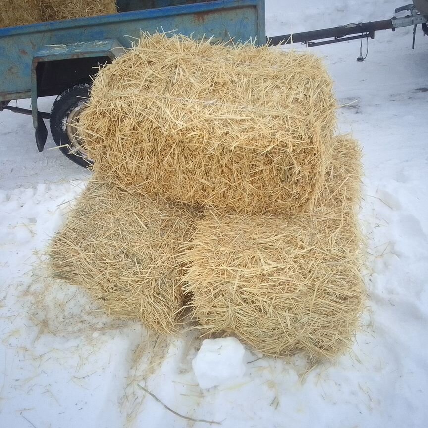 Солома пшеничная в тюках