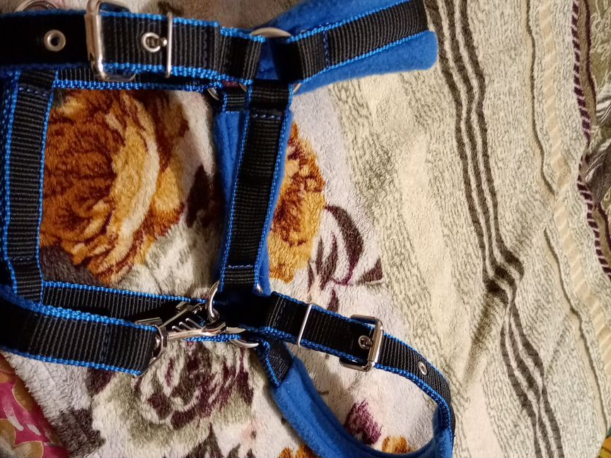 Недоуздок для пони класса