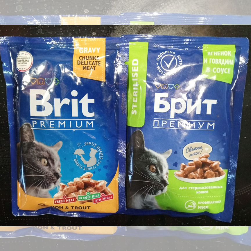 Влажный корм для кошек