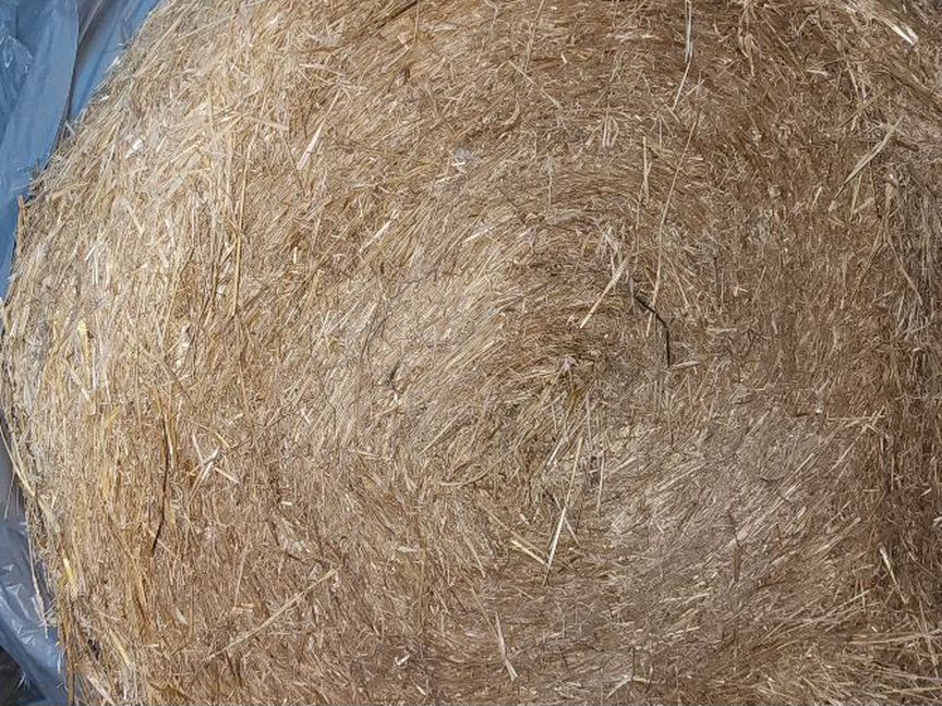 Солома в тюках