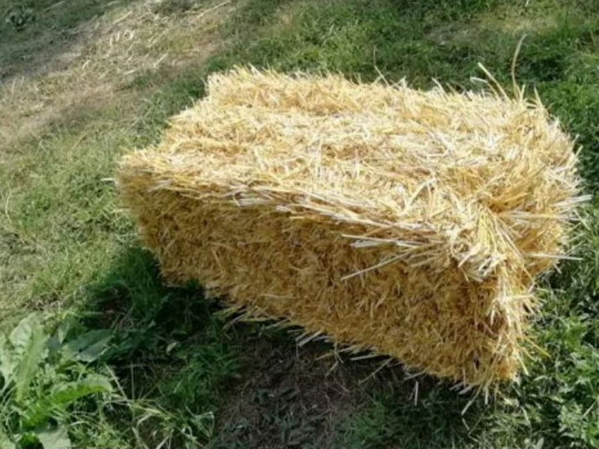Солома в тюках