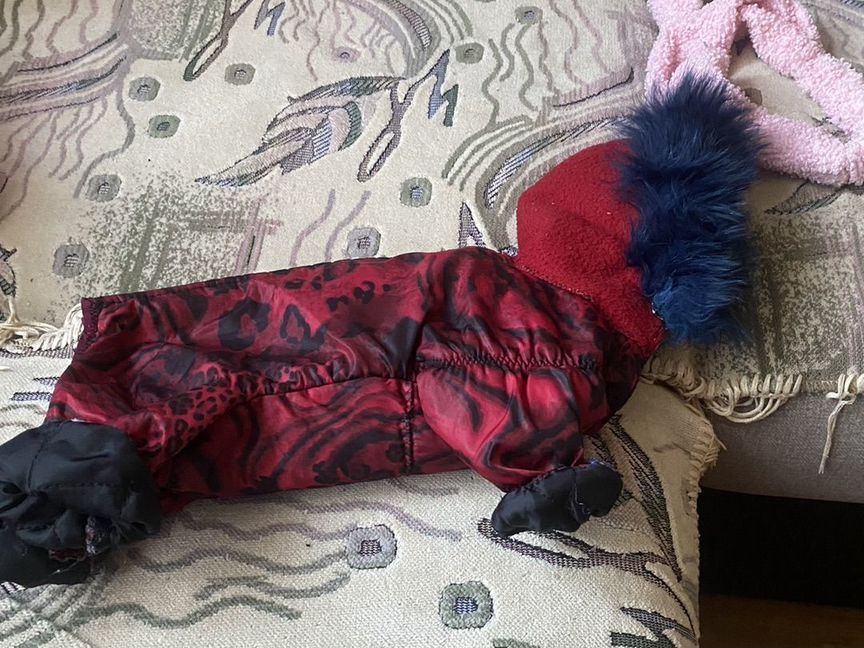 Одежда для собак мелких пород