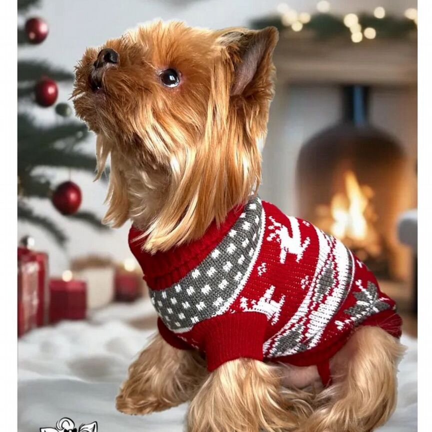 Толстовка для собак новогодняя